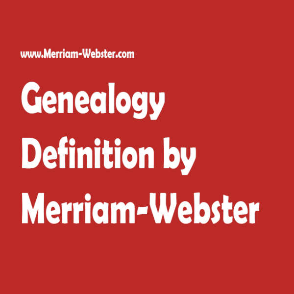 Our Genealogy – Clan Irwin Association