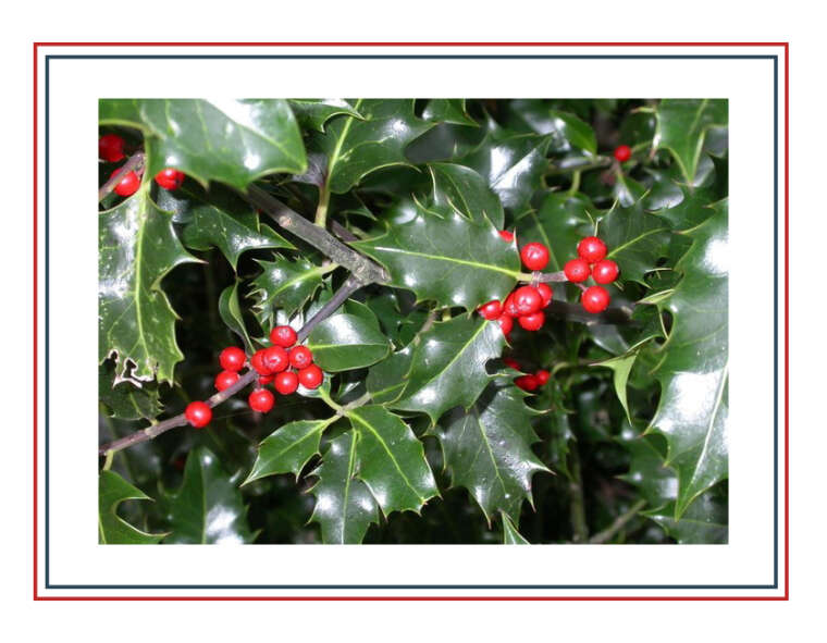 Clan Irwin Association – History of the Clan Irwin